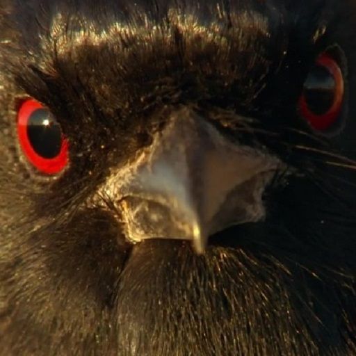 Mooncrow Server RHS - Arma Reforger Workshop