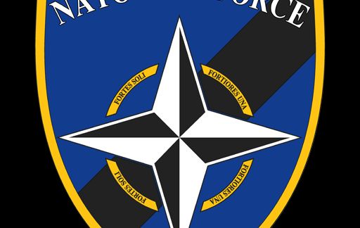 NTF Patches - Arma Reforger Workshop