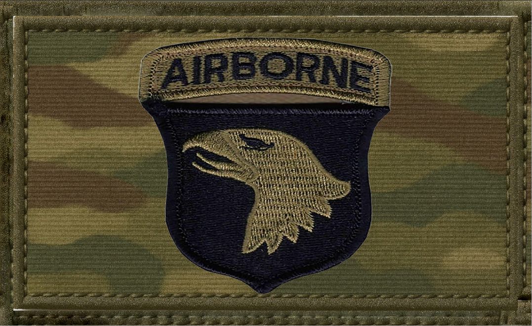 Fluxys 101st Airborne patches - Arma Reforger Workshop