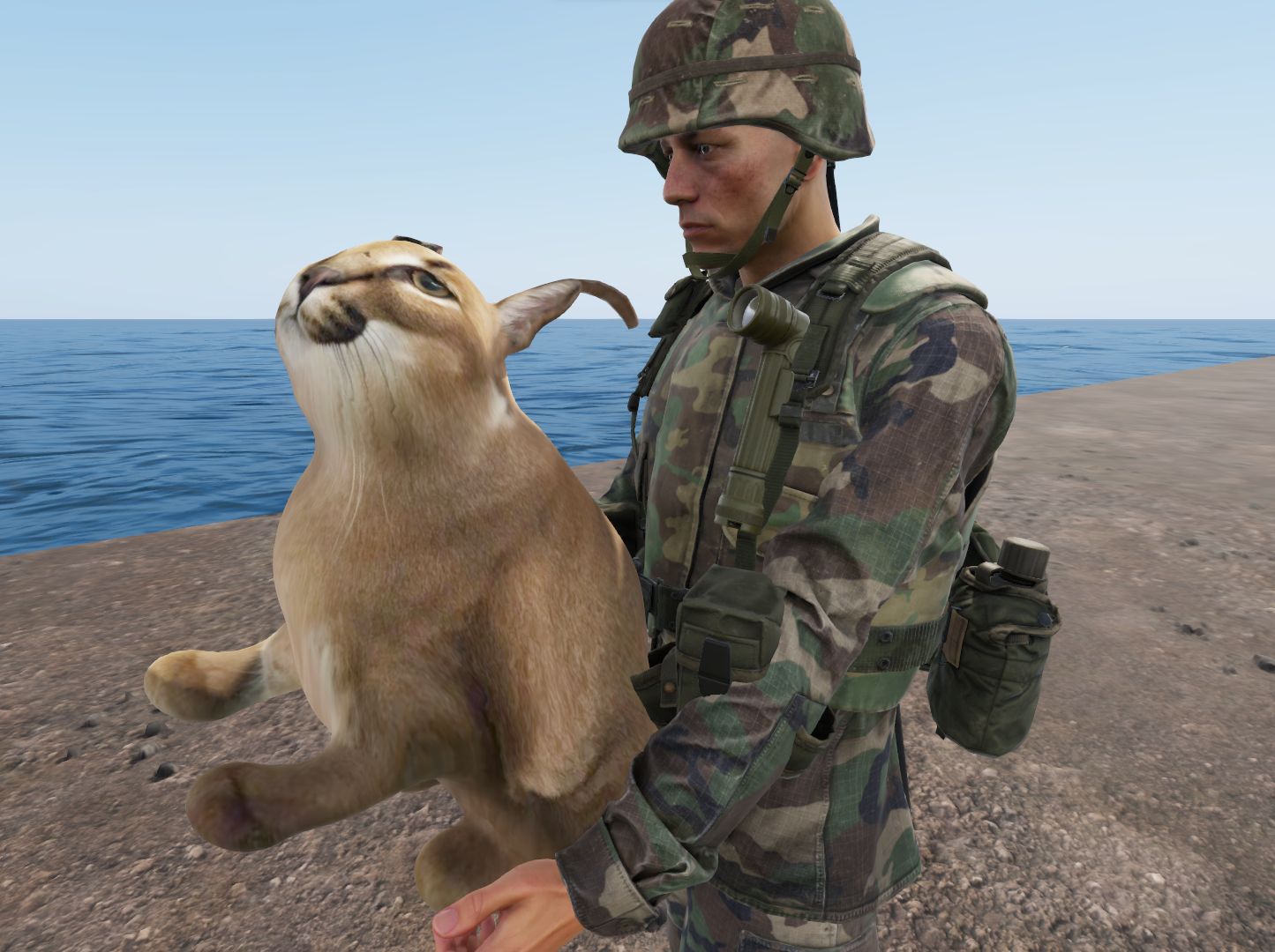 SolanumMelongena Floppa - Arma Reforger Workshop