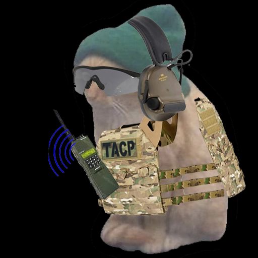 Talking on Radio Beeps - Arma Reforger Workshop