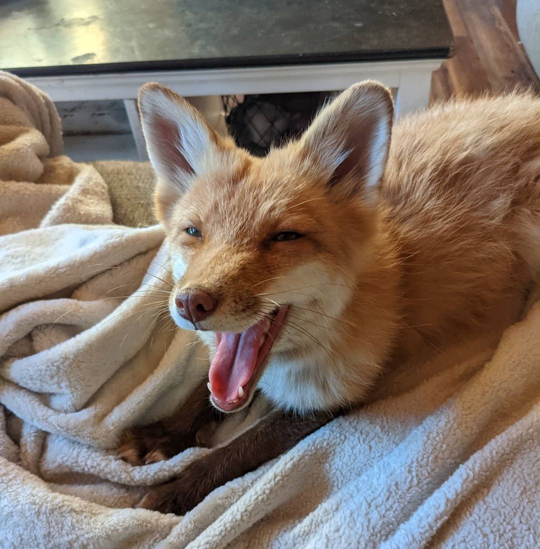 JTFS Arsenal - Arma Reforger Workshop