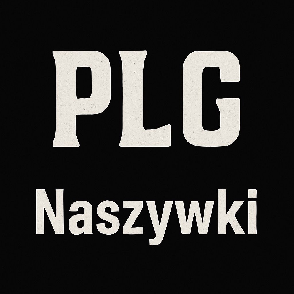 PLG Naszywki - Arma Reforger Workshop